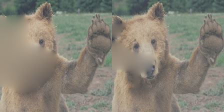 A tutorial on benchmarking and tuning model explanations — Advanced AI ...