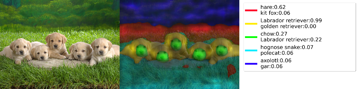 Deep Feature Factorizations for better model explainability — Advanced ...